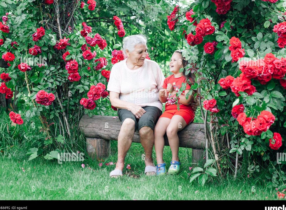 MABN : Découvrez les merveilles de l'Argentine à travers la gastronomie ...