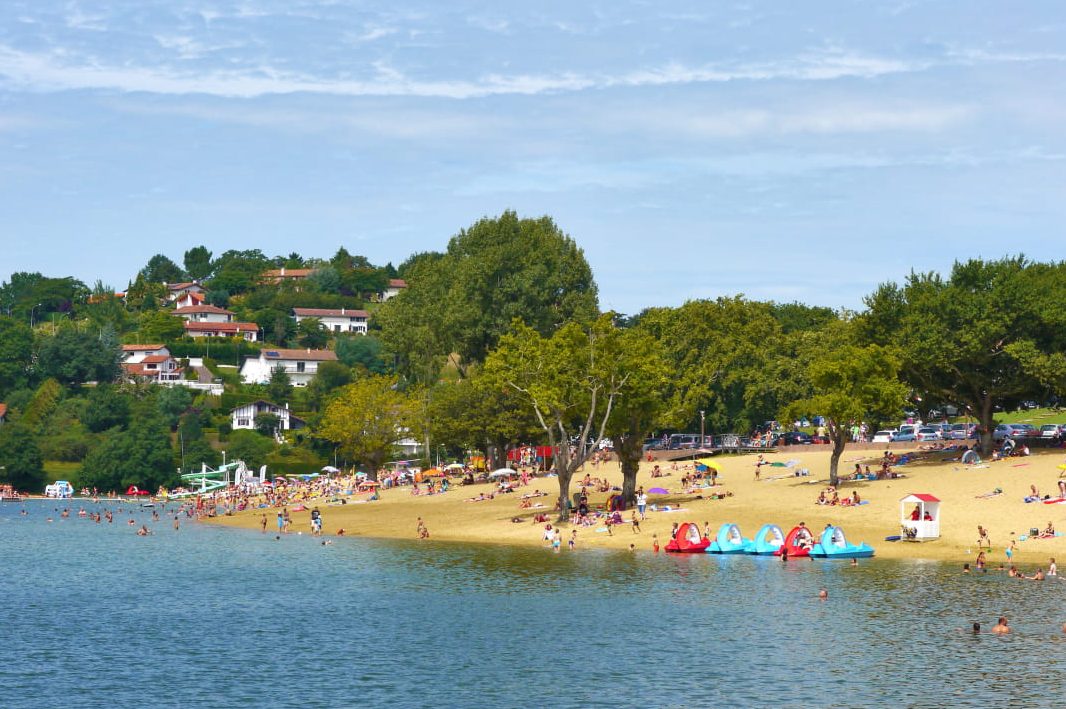 Banque : L’essentiel à savoir à ce propos avec Anousdevoir