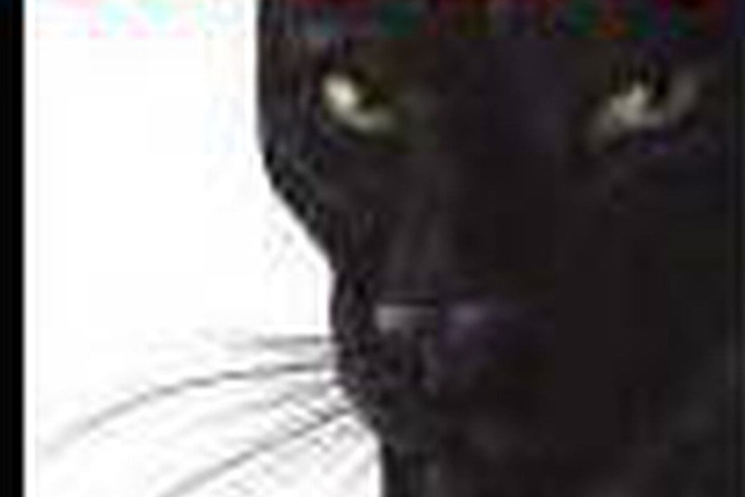 Promptitude et Agilité: Les Secrets des Équipes à Succès en 7 Lettres ...