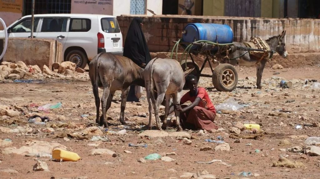 raisons de choisir Donkey Finance pour vos besoins financiers